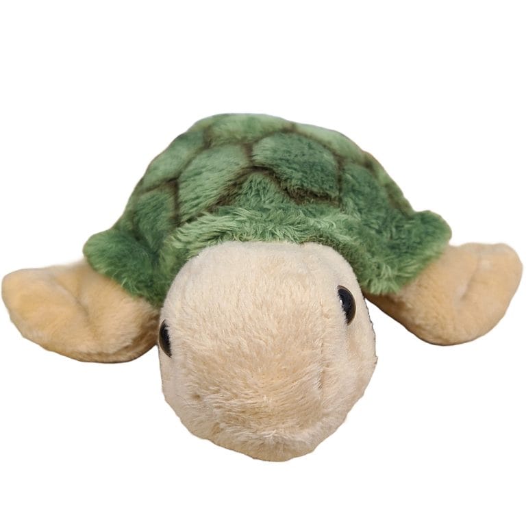 Canned Turtle – Canned Gifts
