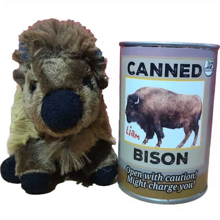 Canned Bison – Canned Gifts