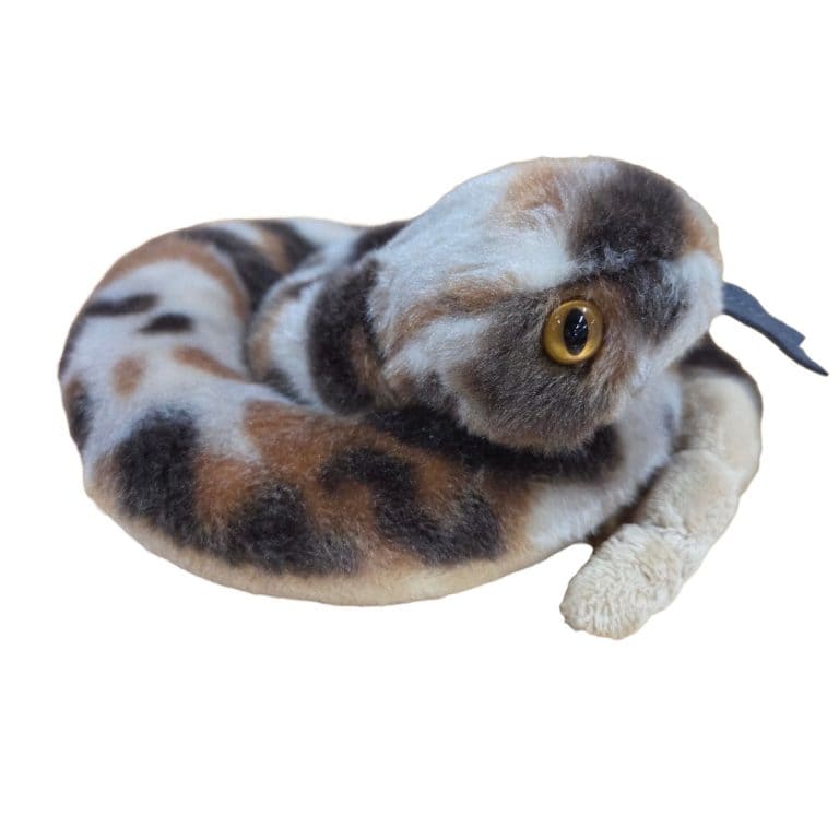 Canned Rattlesnake – Canned Gifts